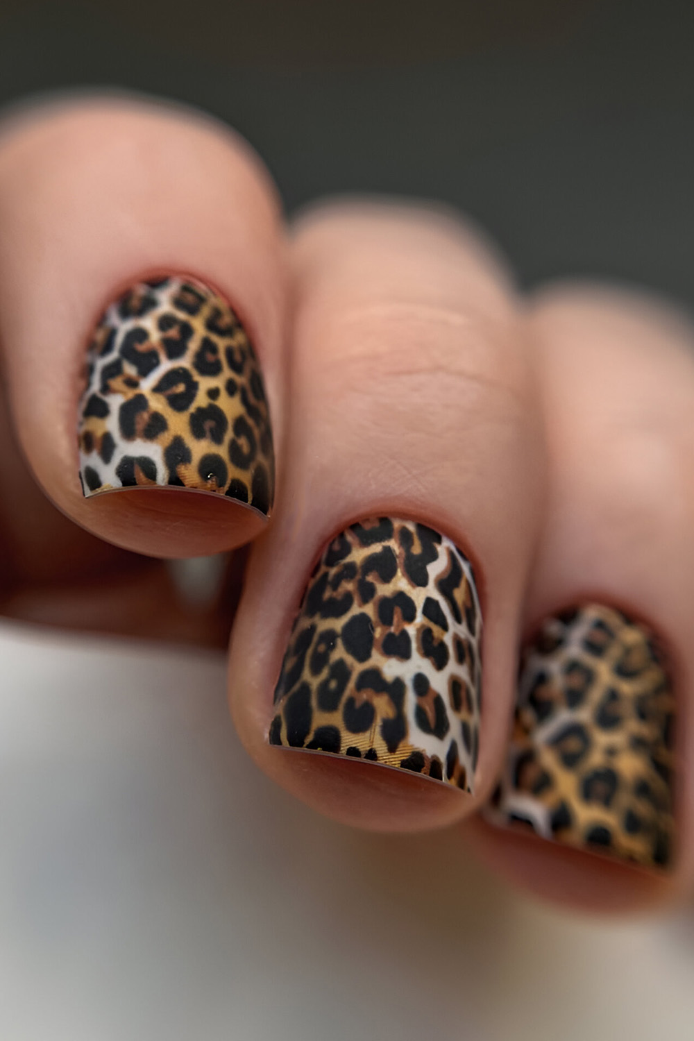 29 Animal Print Nail Art Design for 2025